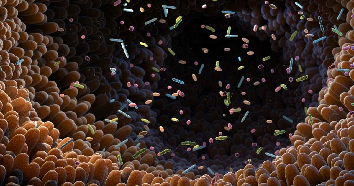 Cary Gastroenterology Associates | Intestinal Flora and Your Health