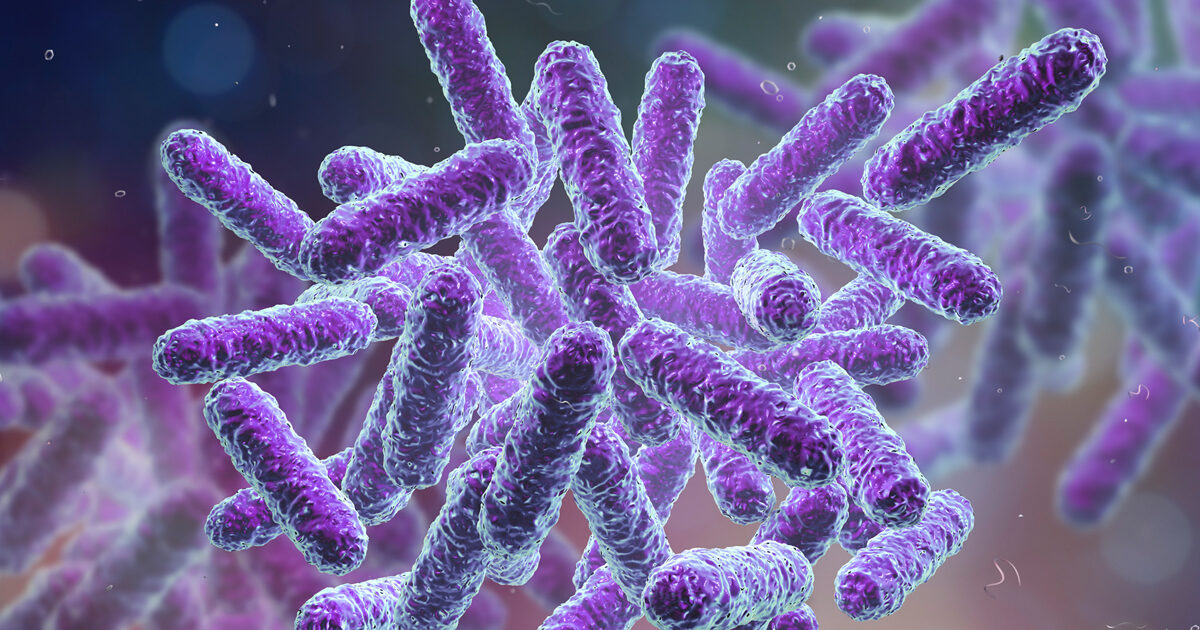 Cary Gastroenterology Associates | Whipple’s Disease: Not Just an…